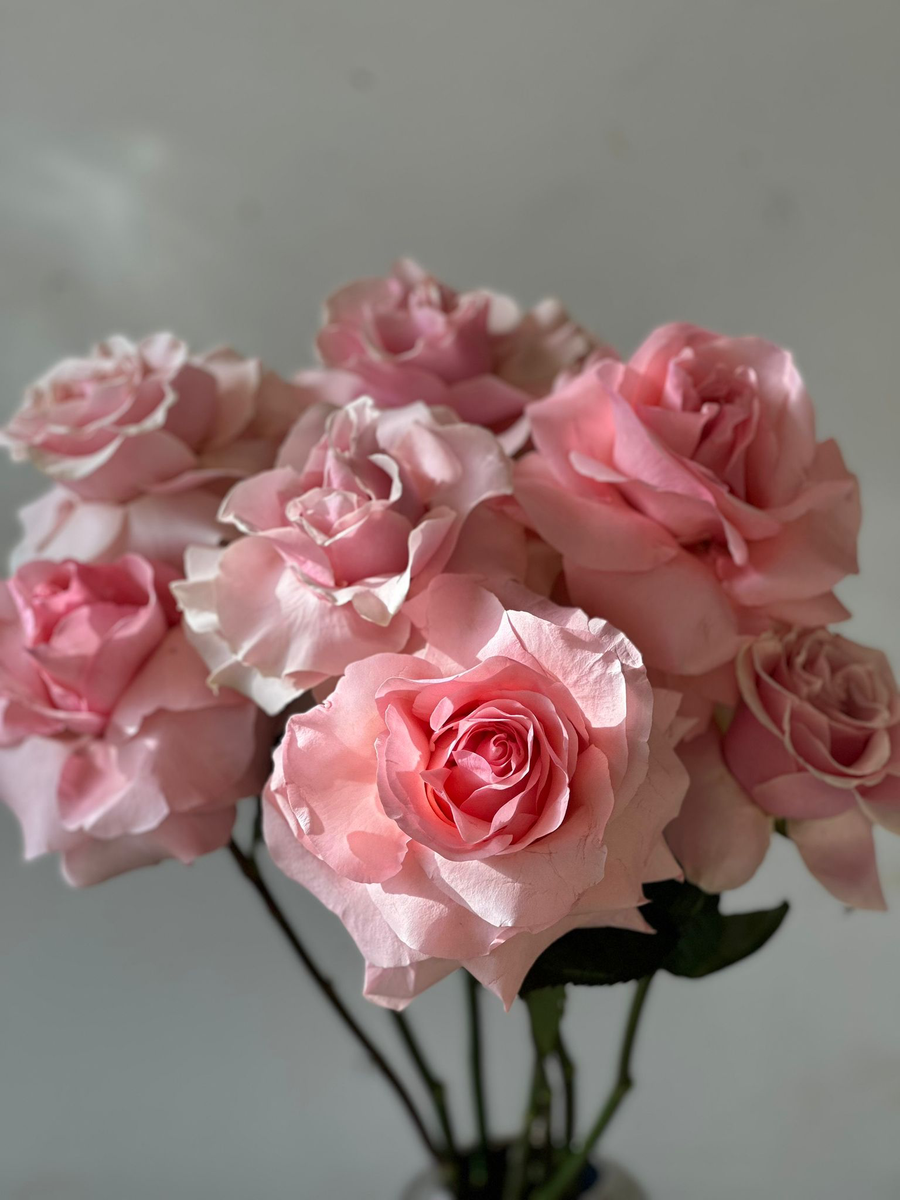Peel-Back Roses – The Granville Island Florist