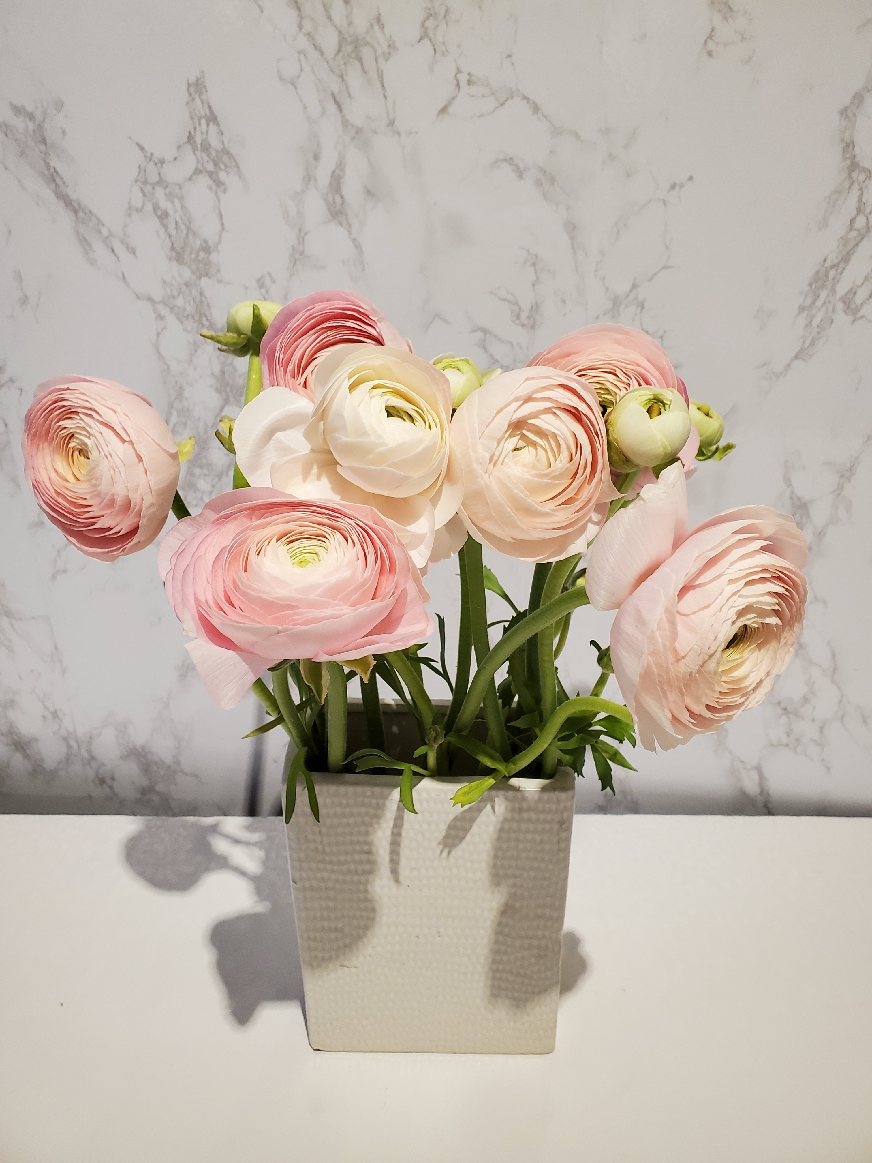 Fresh Flowers In Trinidad And Tobago | Best Flower Site